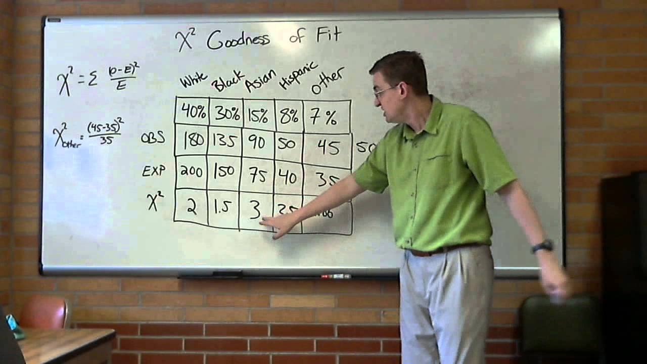 Goodness of fit test - YouTube