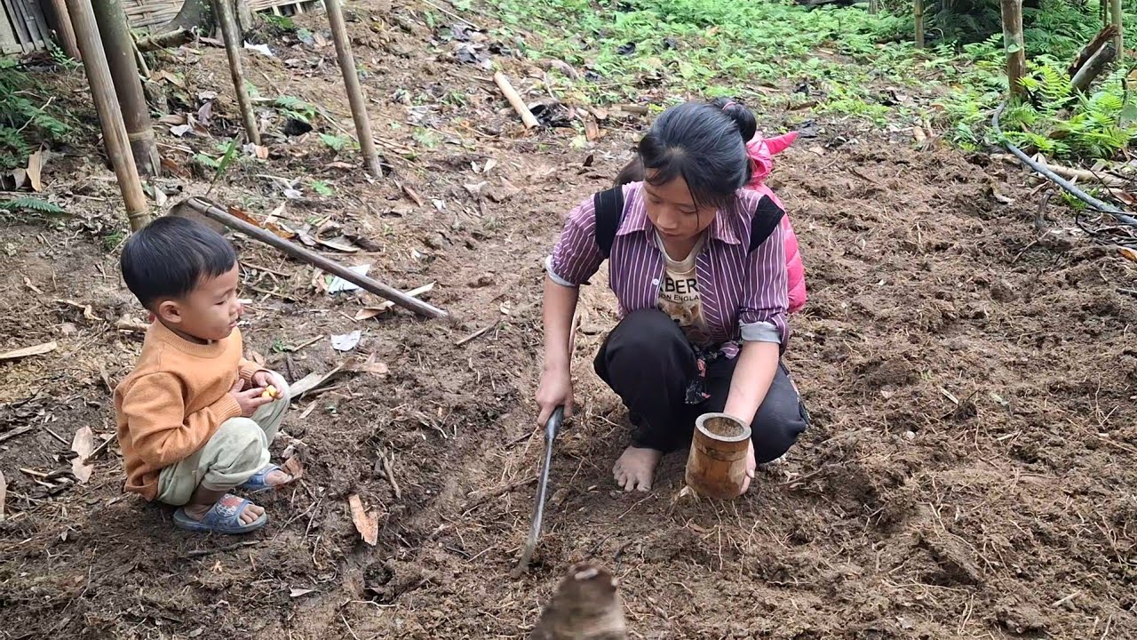 A day of mother and children hoeing the ground to plant squash. - YouTube