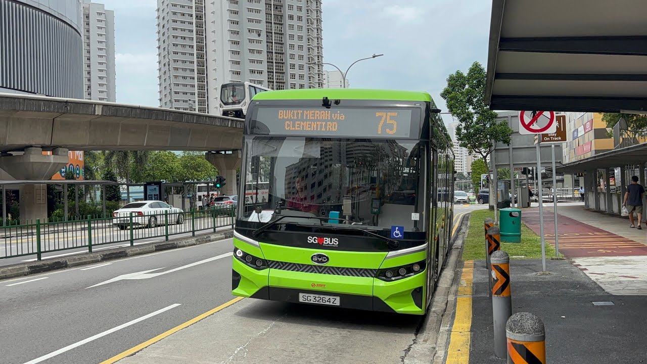 SMRT Buses BYD BC12A04 [SG3264Z] on Service 75 - YouTube