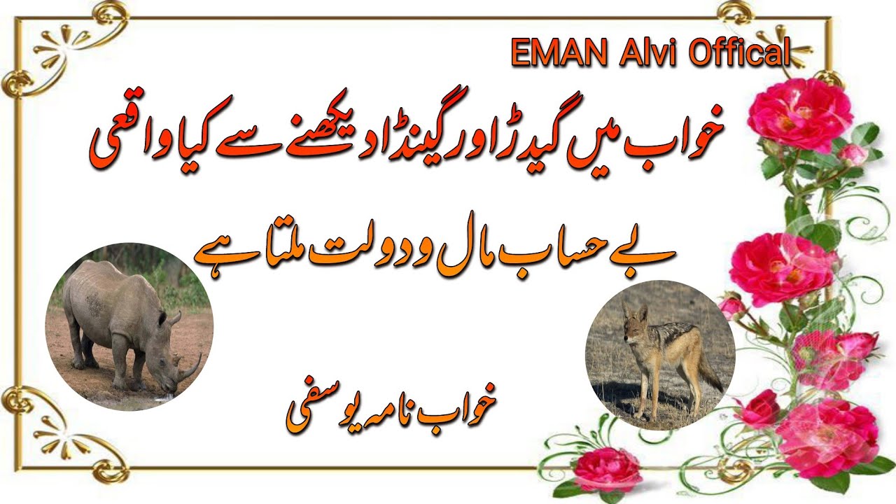 Khawab main Geedar Aur Gainda Dream About jackal And rhinoceros# ...