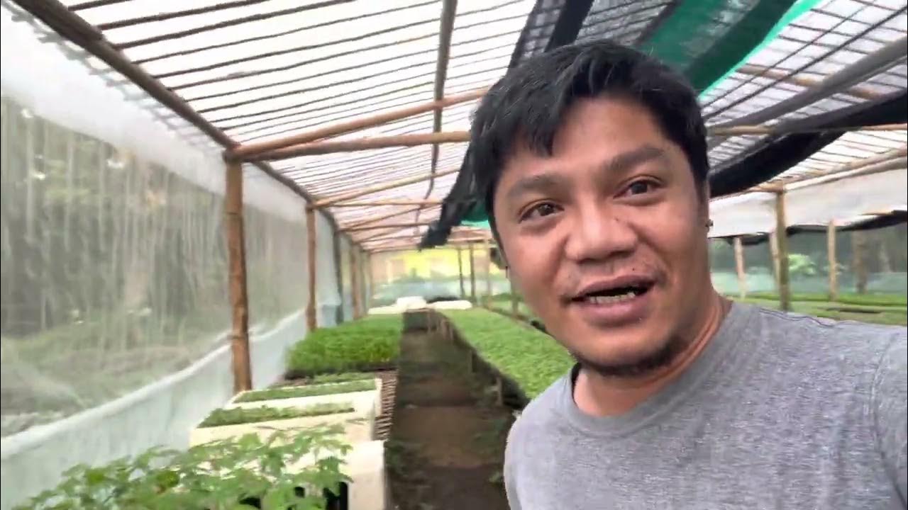 Ivans Seedling Nursery - YouTube