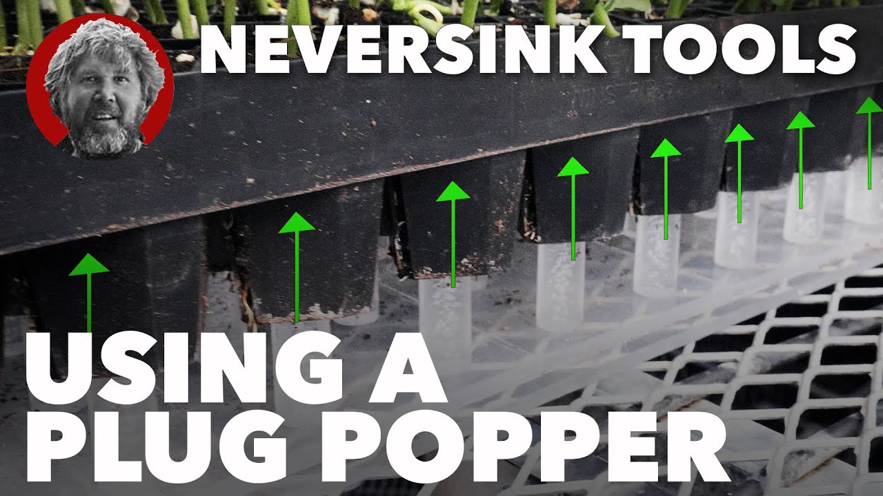 Plug Popper - Getting The seedlings out of a tray - YouTube