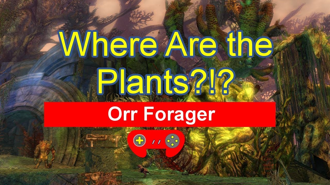Guild Wars 2 - Orr Forager Daily - Every Map - YouTube