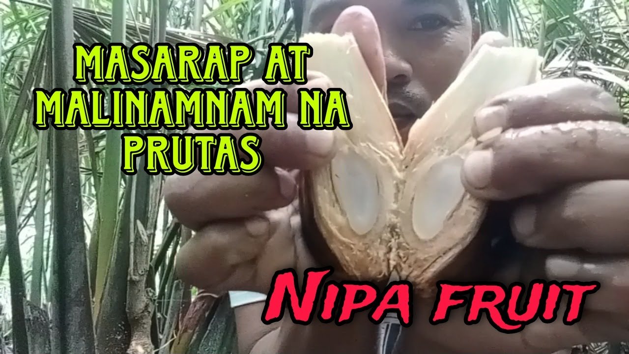 Nipa fruit/masarap at malinamnam na prutas - YouTube