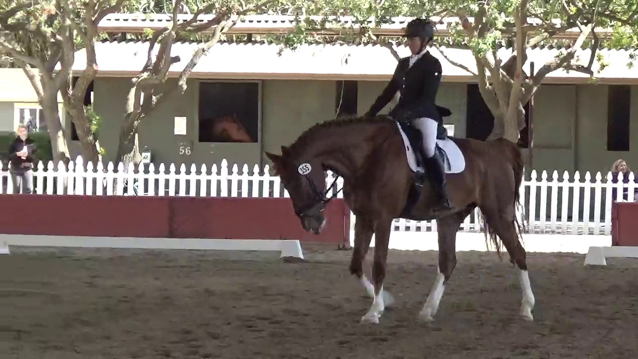 Junior S.B.F. First Level Test 1 USDF Dressage with Robyn Fisher riding ...