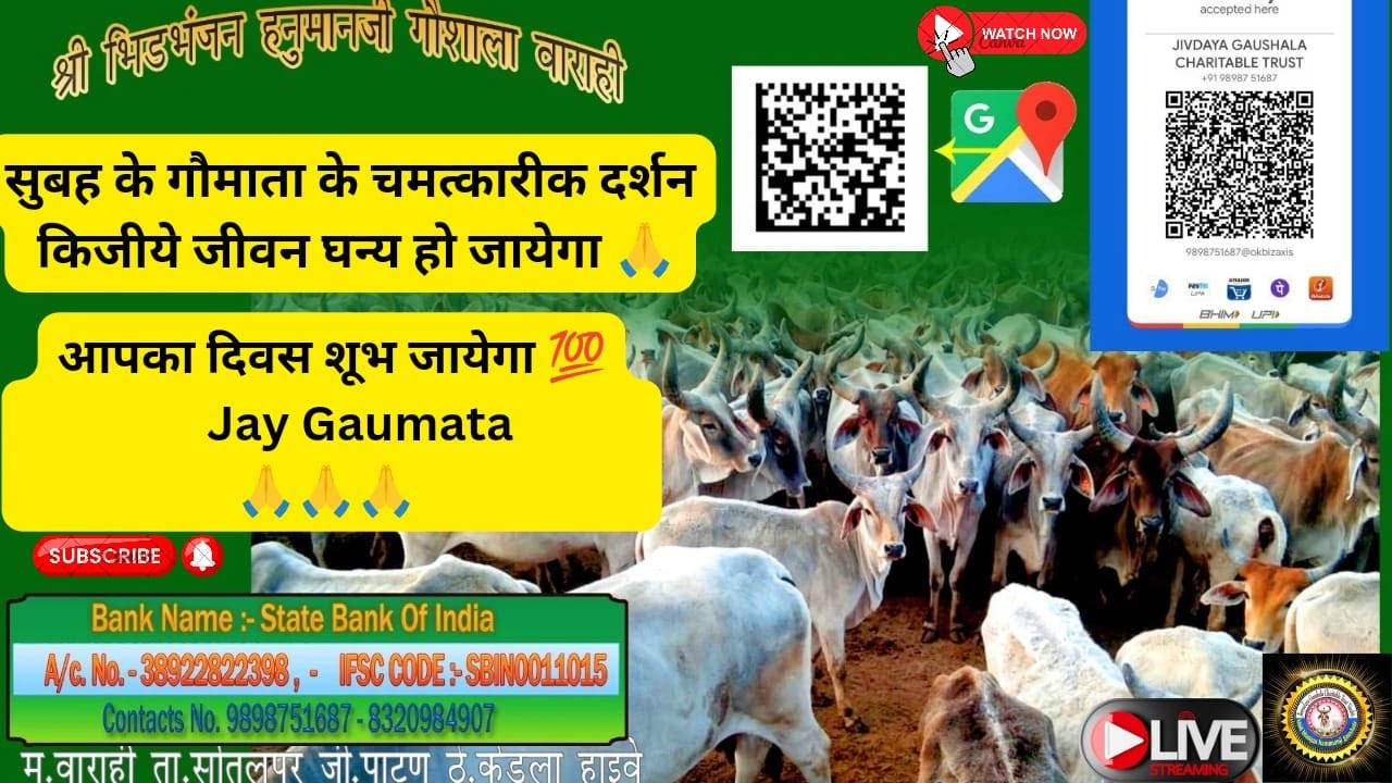 🔴LIVE | GAUMATA | VARAHI GAUSHALA I GAUMATA SONG I - YouTube
