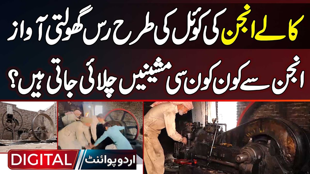 Black Engine's Humming Sound Like A Koel Bird - Which Machines Are ...