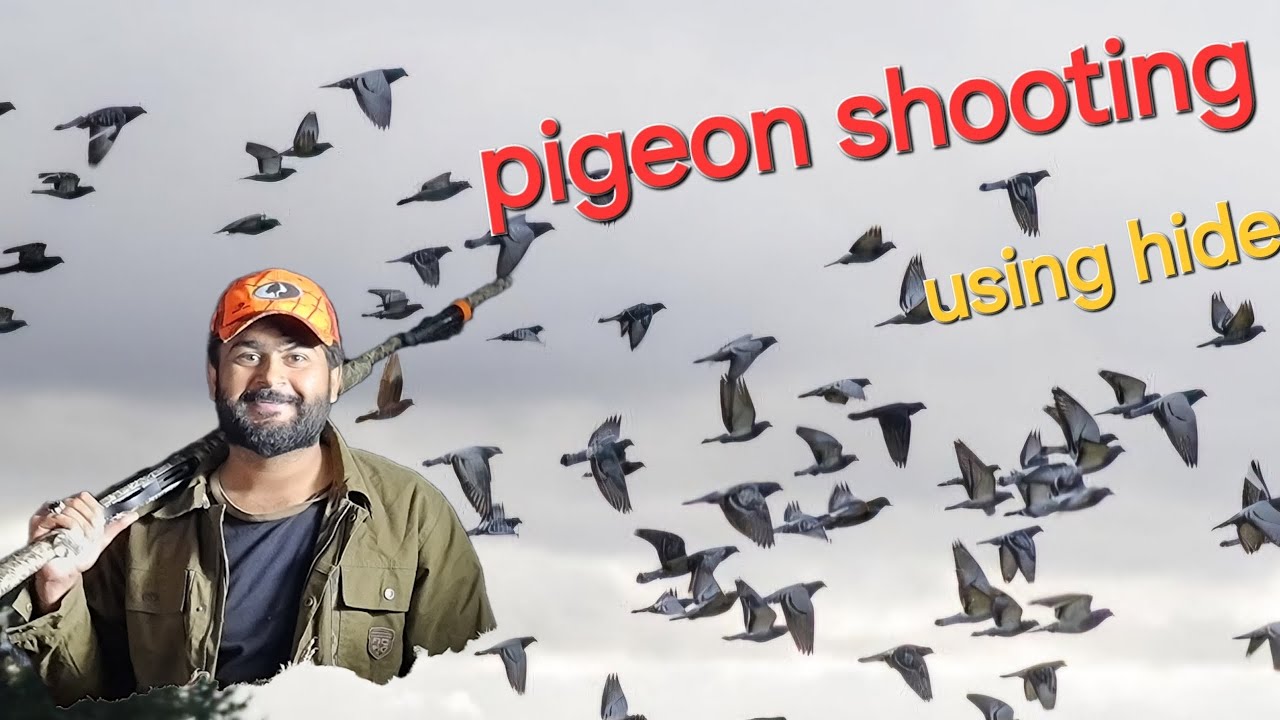 Pigeon Shooting | Shotkam Gen 4 | Offroad Road Country Side | Pigeon ...