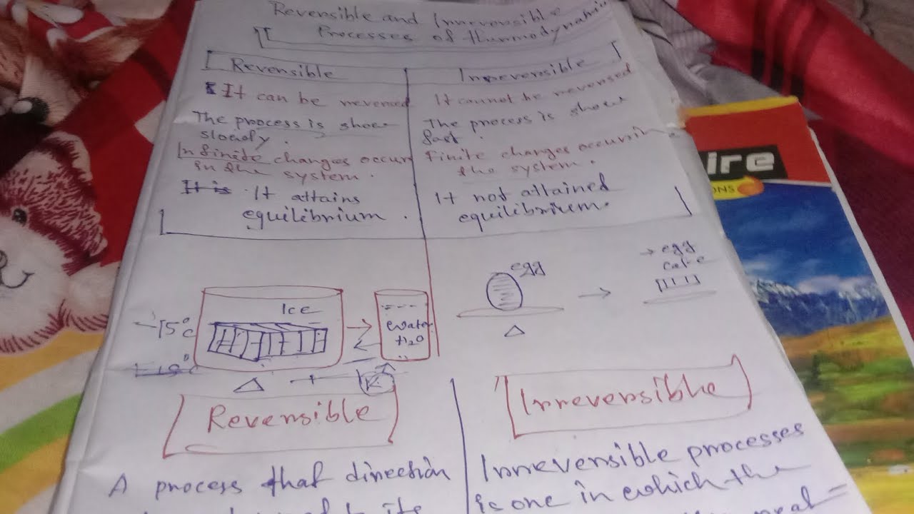 Reversible and Irreversible processes/// Bengali/// Example/// - YouTube