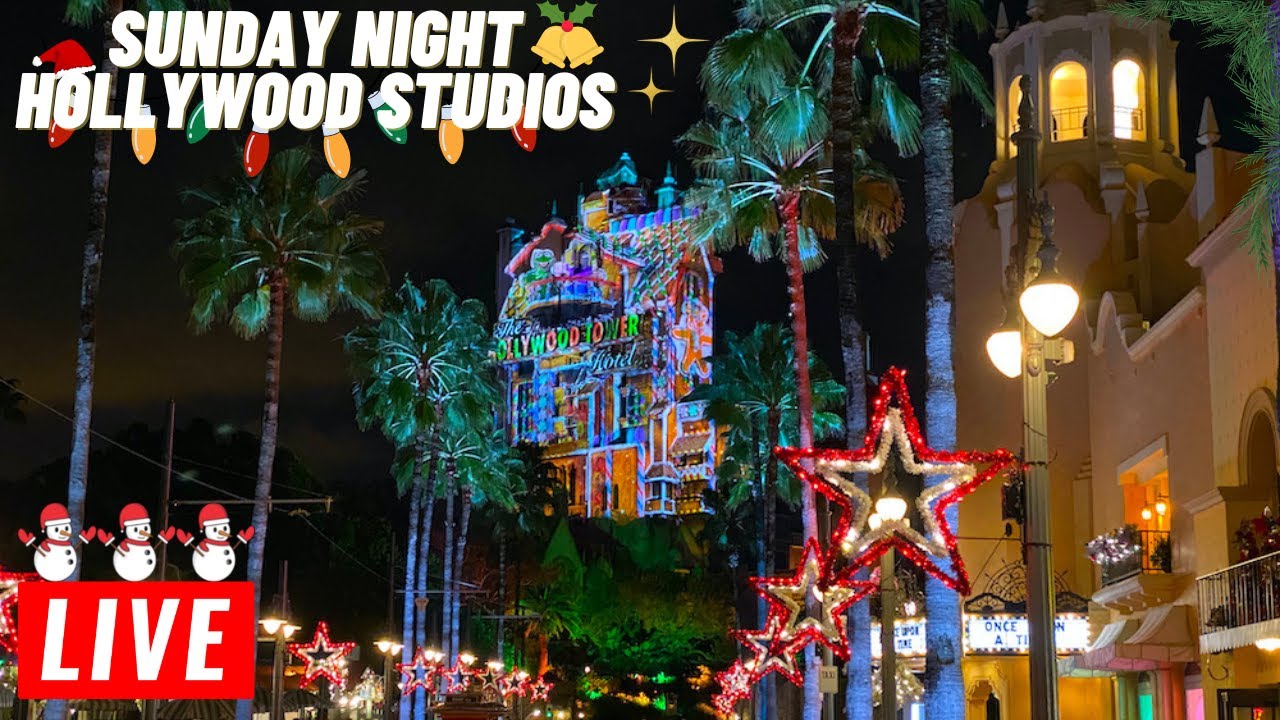 🔴Live: Sunday night at Disney's Hollywood Studios and see tower of ...