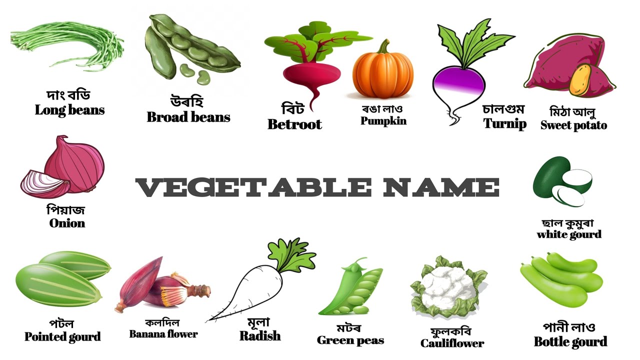 vegetable name in Assamese | assamese and english vegetable name - YouTube