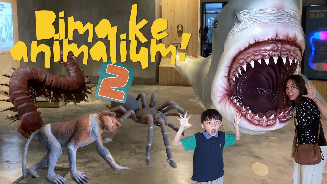 Bima ke ANIMALIUM!! ada LABA LABA DAN BELALANG RAKSASA!! #animalium # ...