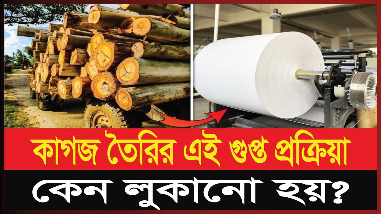 কাগজ কীভাবে তৈরি হয়? জানলে অবাক হবেন আপনিও | Paper Mills | Paper A4 ...