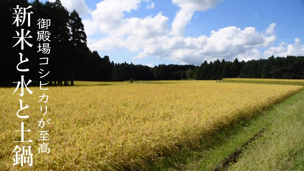Perfect Way To Enjoy Japanese New Rice Koshihikari Just Harvested this ...