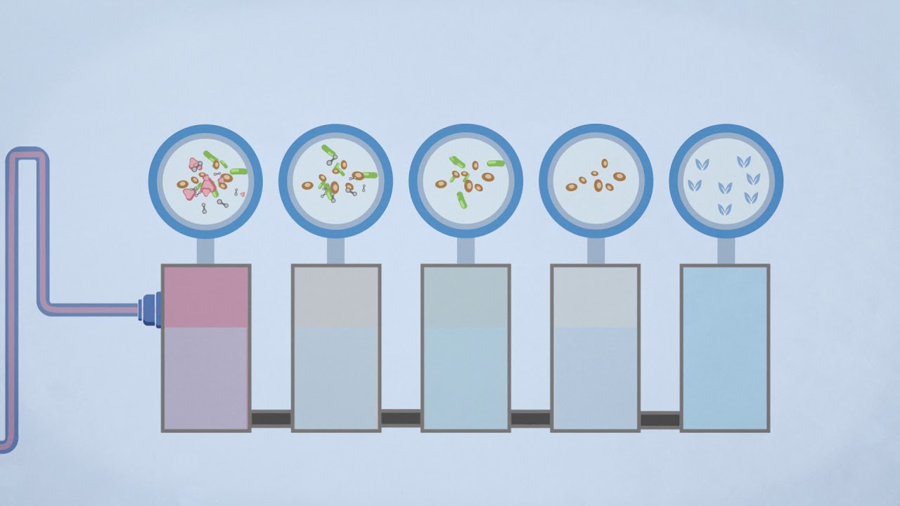 Vero Water How it Works SPANISH - YouTube