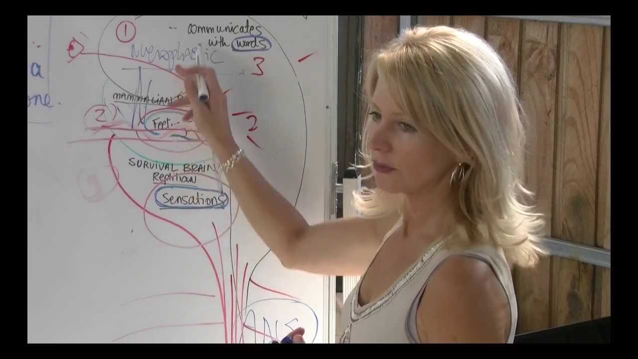 Talking trauma with Casey Terry - YouTube