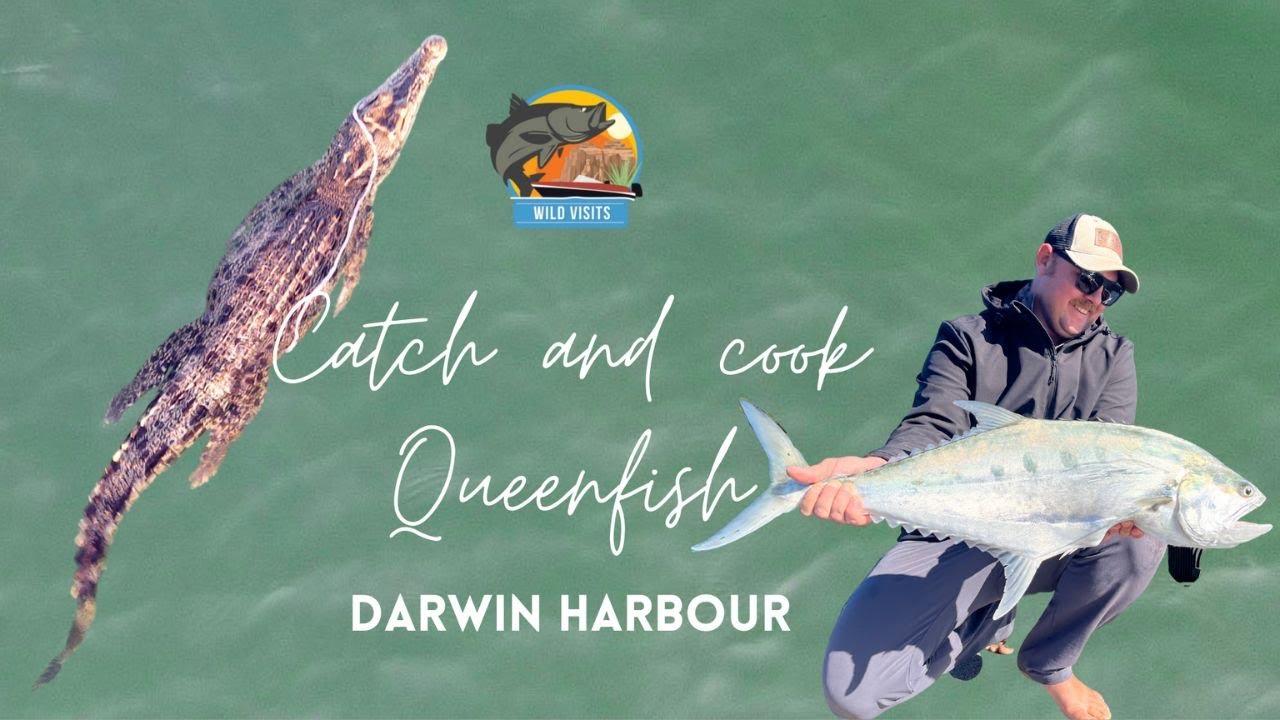 Catch and Cook - Massive Queen Fish - Darwin Harbour - YouTube