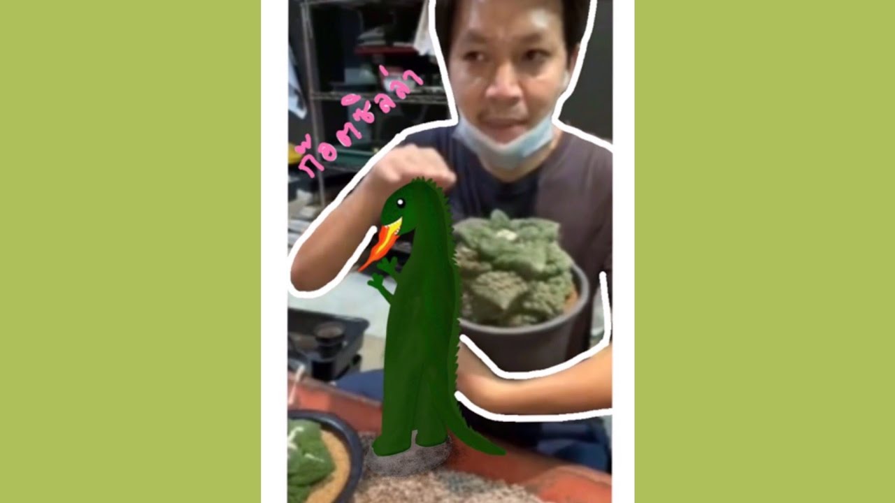 วิธีดูก๊อตซิลล่าสไตล์ MR.BASO - YouTube