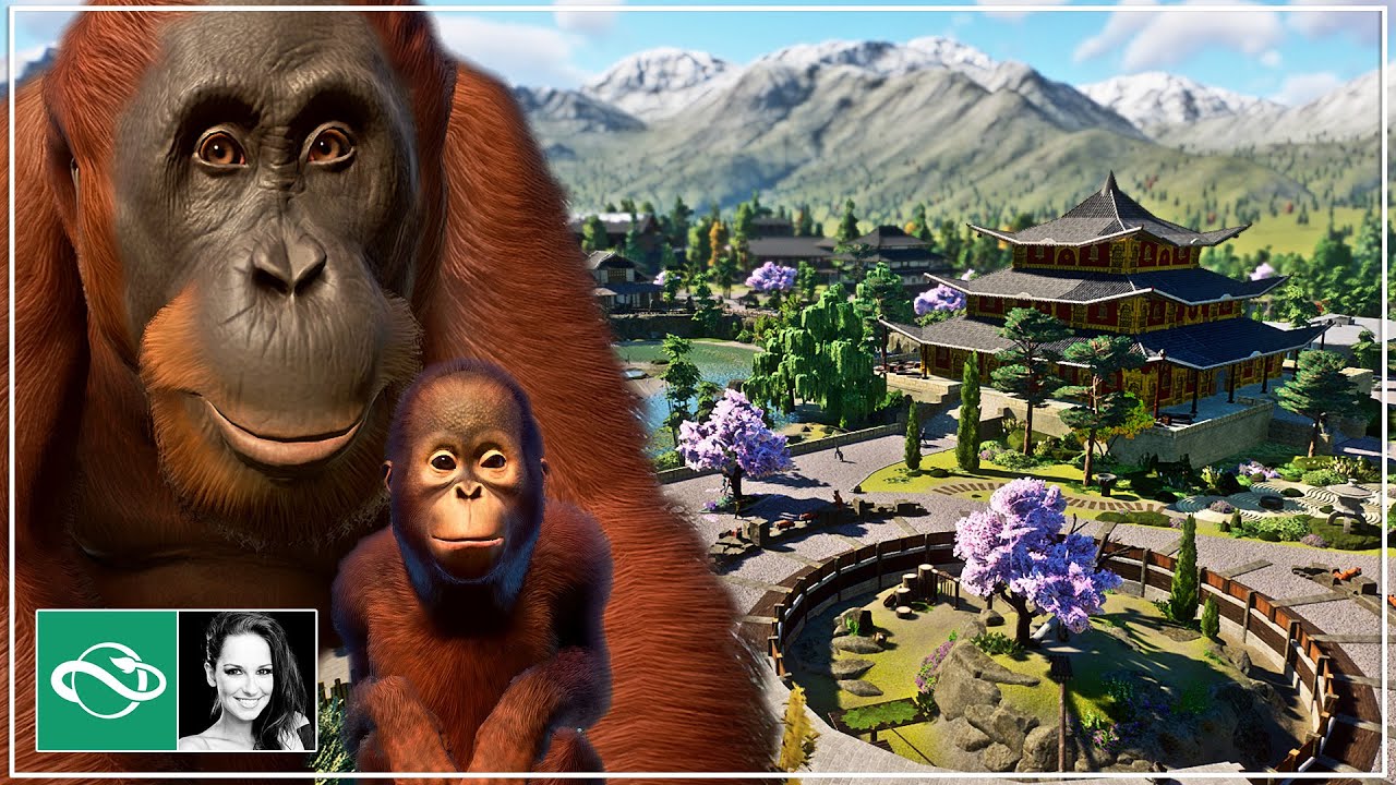 Explore this Gorgeous Japanese Zoo in Planet Zoo - YouTube