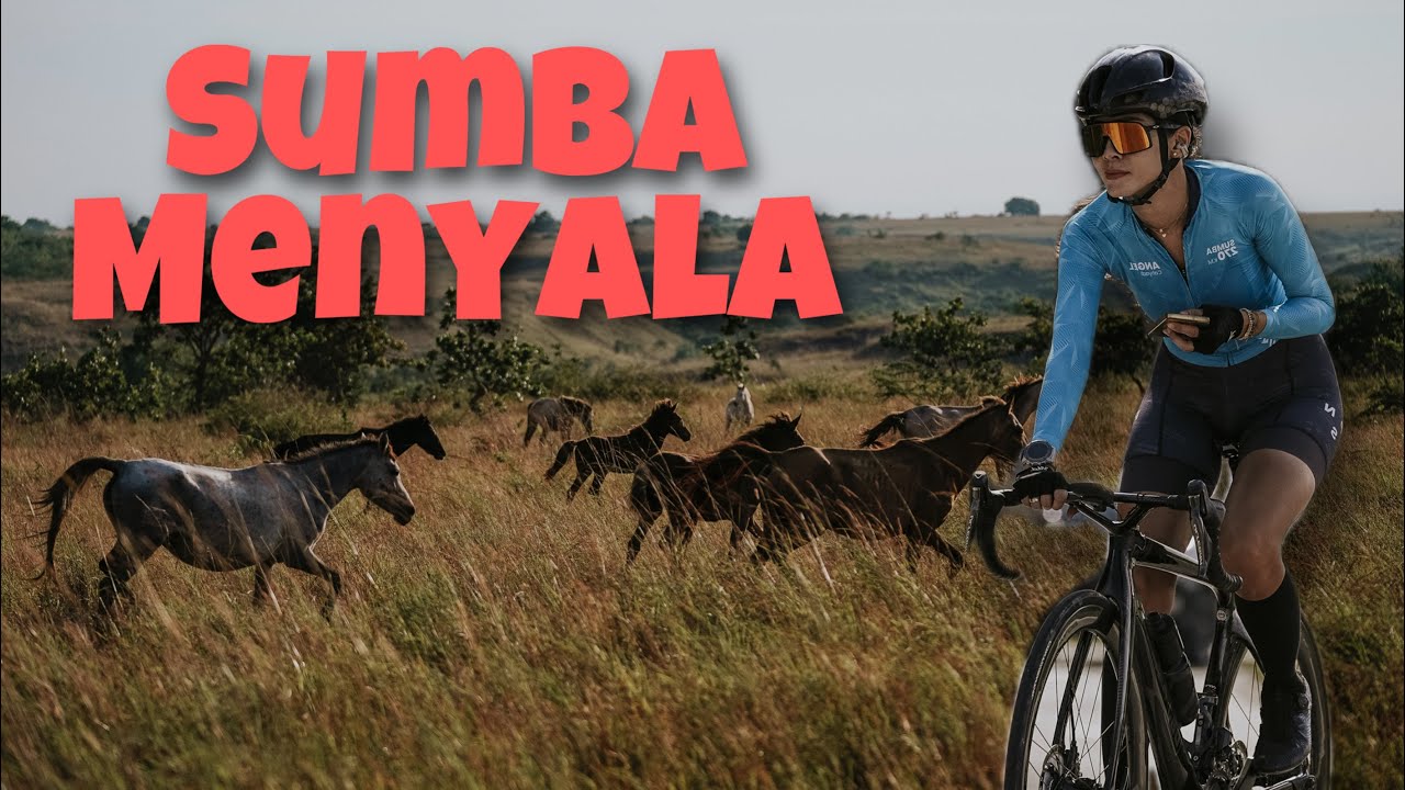 BARU KALI INI GOWES BALAPAN AMA KUDA! VLOG BIKETOCARE SUMBA, BUKIT ...