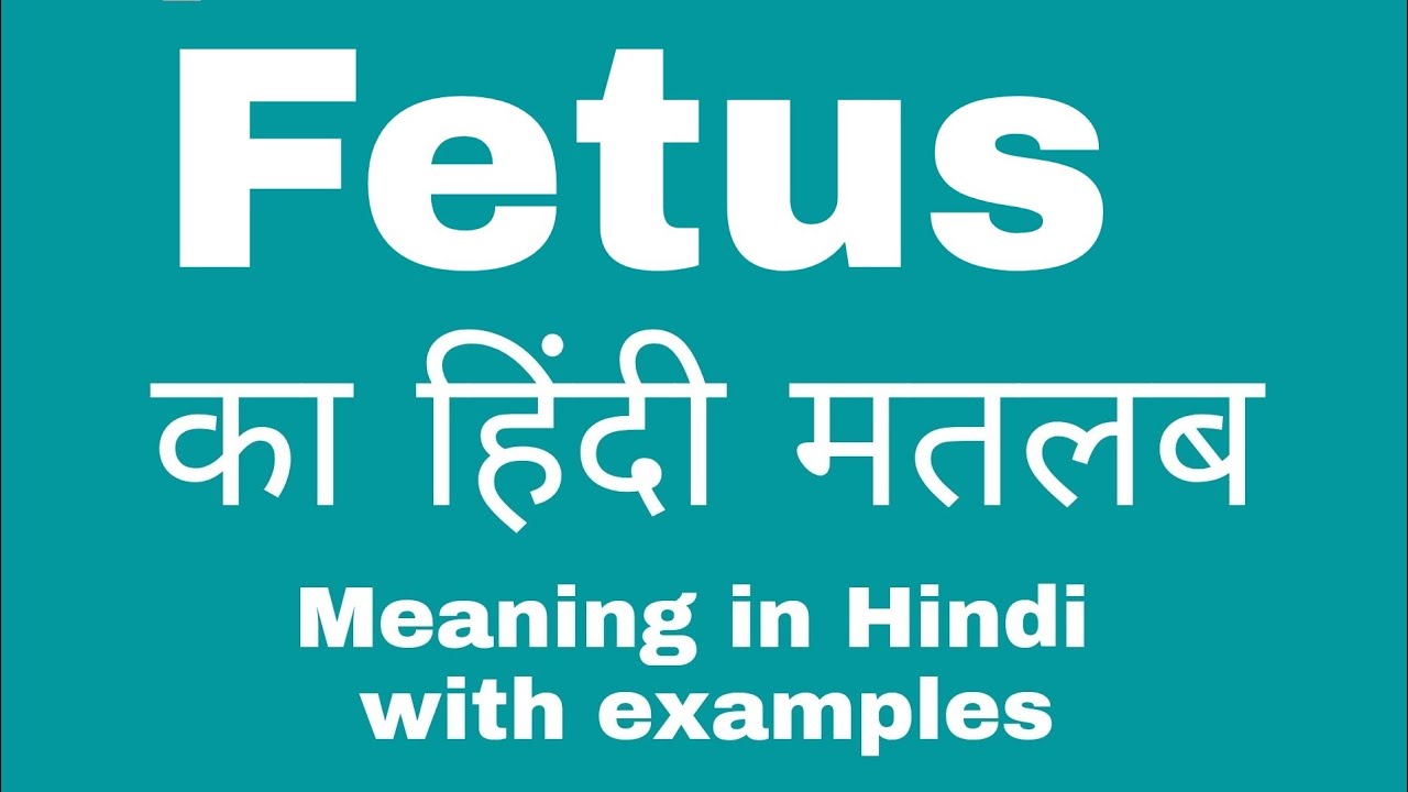 Fetus Meaning In Hindi Fetus Ka Kya Matlab Hota Hai YouTube