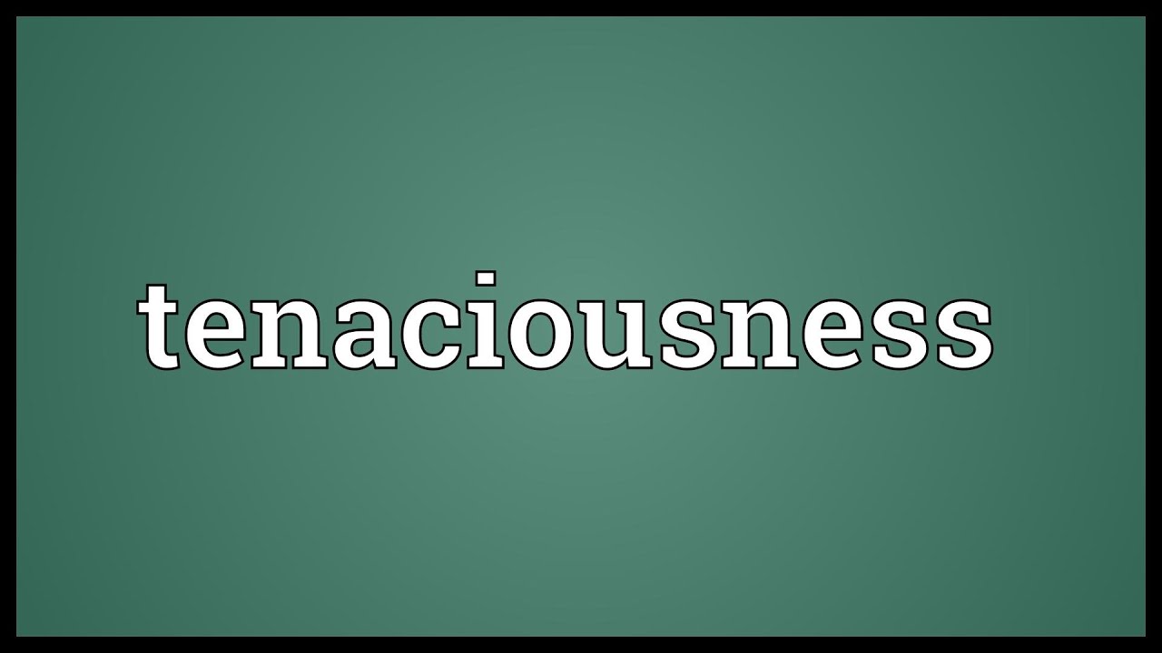 Tenaciousness Meaning - YouTube