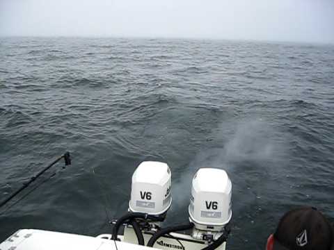 Topwater Salmon Fishing, La Push, WA, 4 Strikes 7 Seconds - YouTube