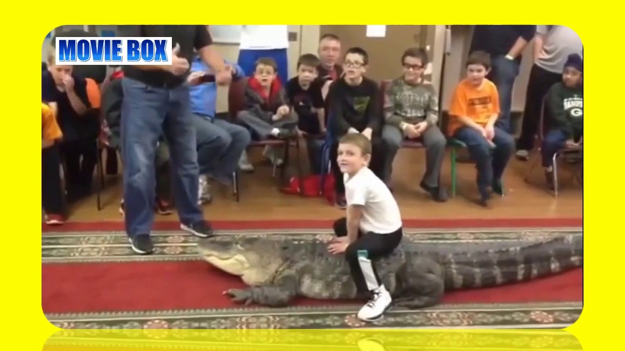 RIDING THE CROCODILE!!!!! - YouTube