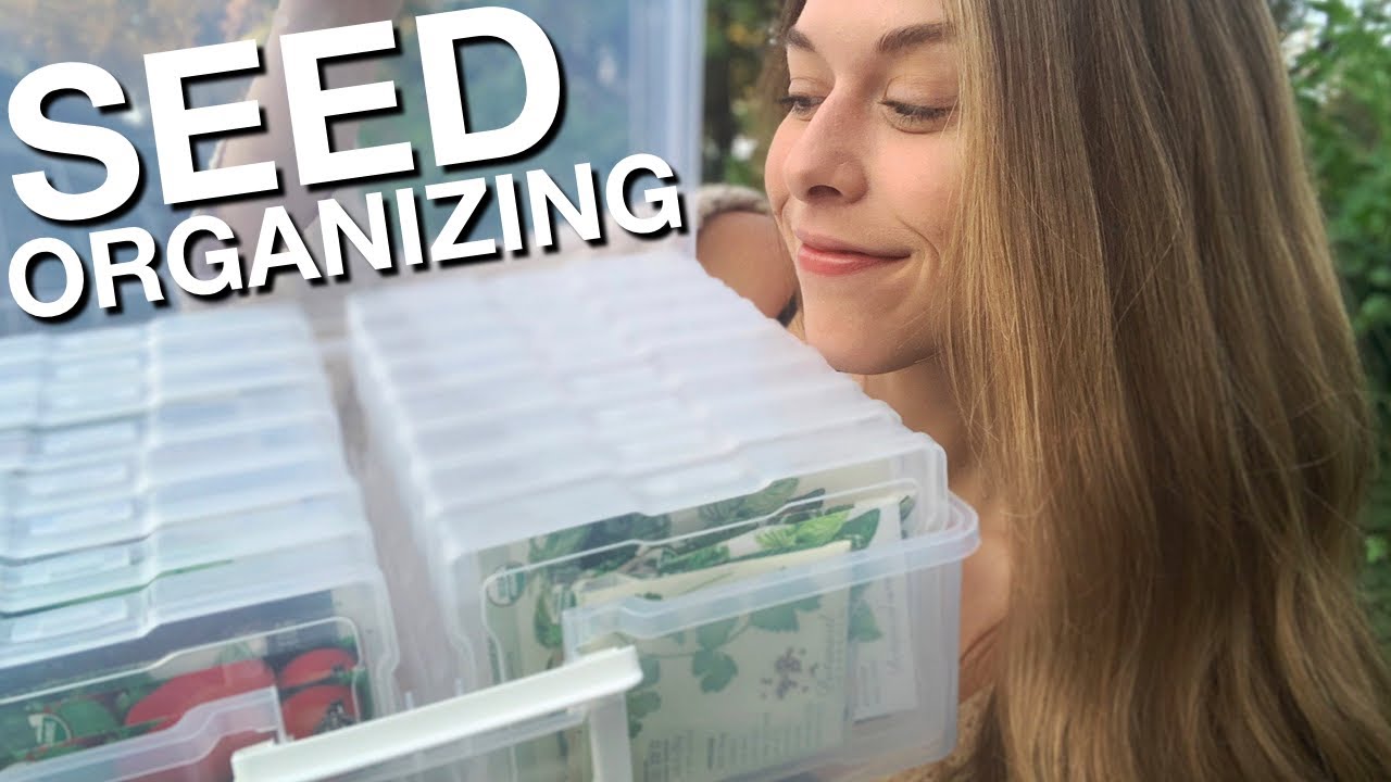 FINALLY Organizing My Seed Collection! - YouTube
