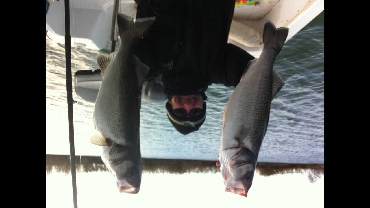 LOUP BAR 5/01/2014 - YouTube