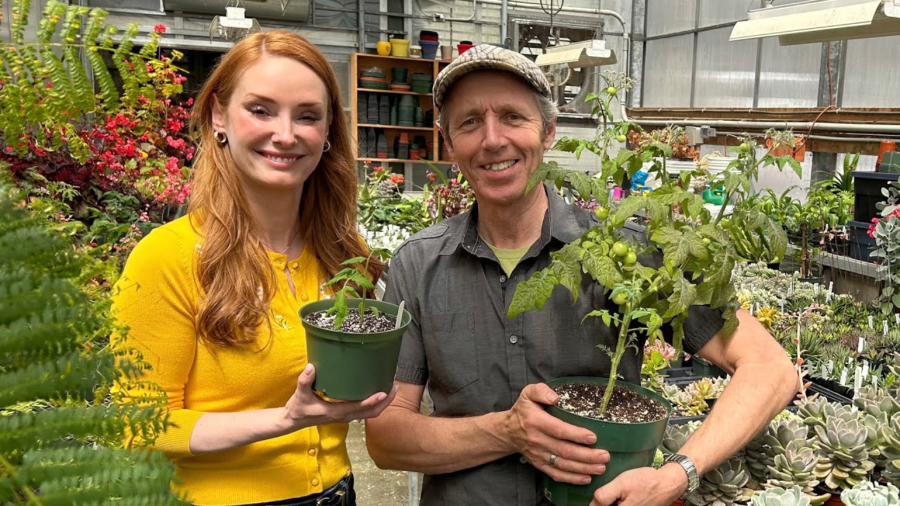 How to plant seeds like a pro: Get Growing with Carolyn Stokes - YouTube
