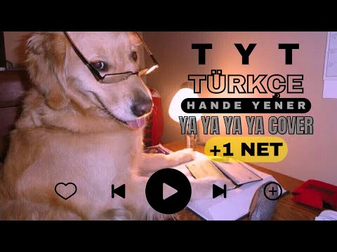 TYT-TÜRKÇE [Hande Yener-YA YA YA YA-COVER] yazım kuralları şarkısı (+1 NET)