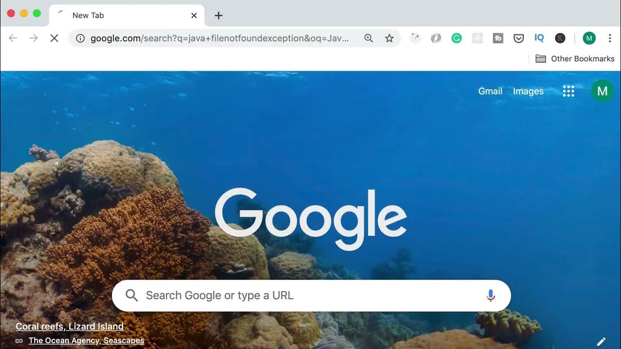 Java #127 - Catching Multiple Types of Exceptions [By Mosh Hamedani ...