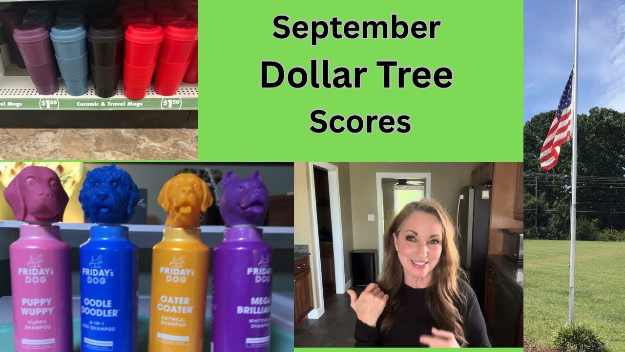 Dollar Tree Scores Again. Message of Hope. - YouTube