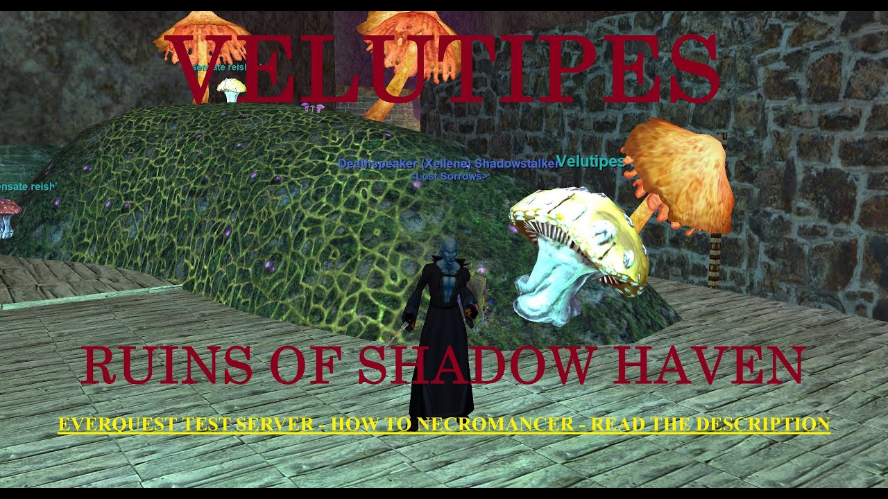 Night of Shadows - Velutipes - Ruins of Shadow Haven T2 - How to ...