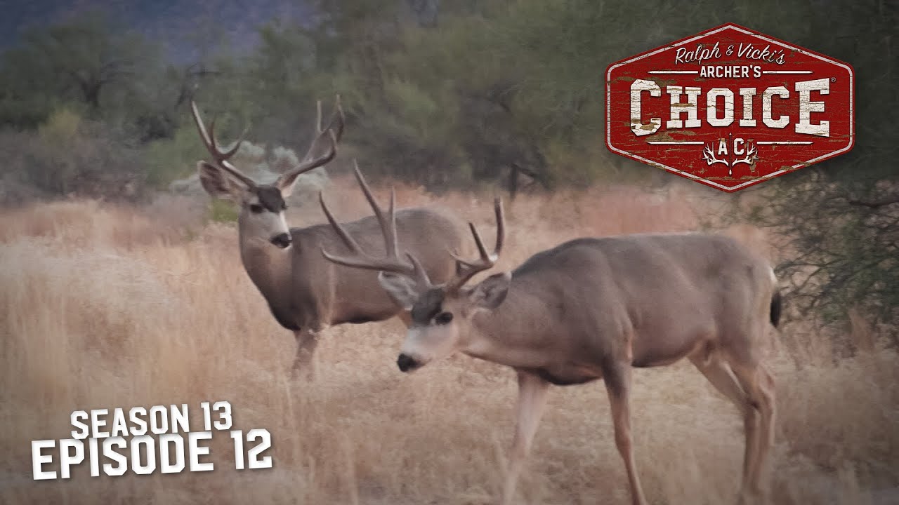 South Of The Border Mule Deer Hunting - Archer’s Choice (Full Episode ...