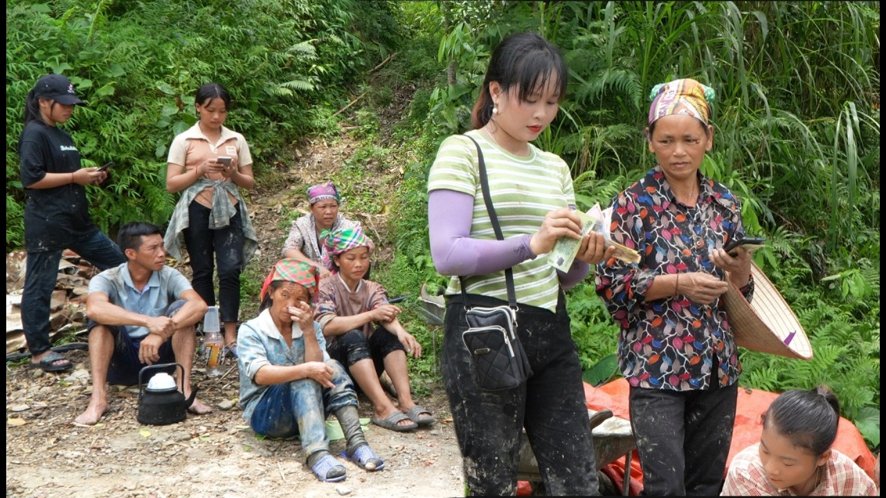 New rice crop. Cultivation and planting of the 2024 rice crop. Hoàng ...