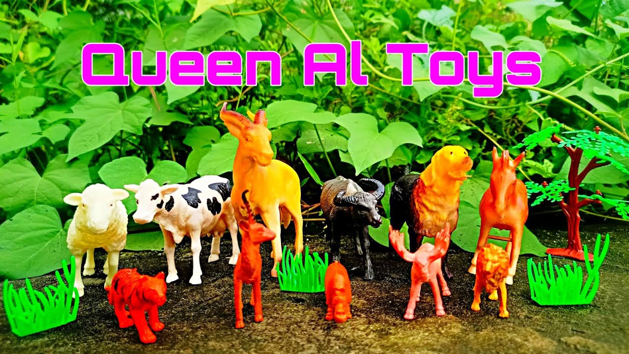 Membersihkan hewan berlumpur, sapi,kerbau,zebra,kuda,rusa,singa ...