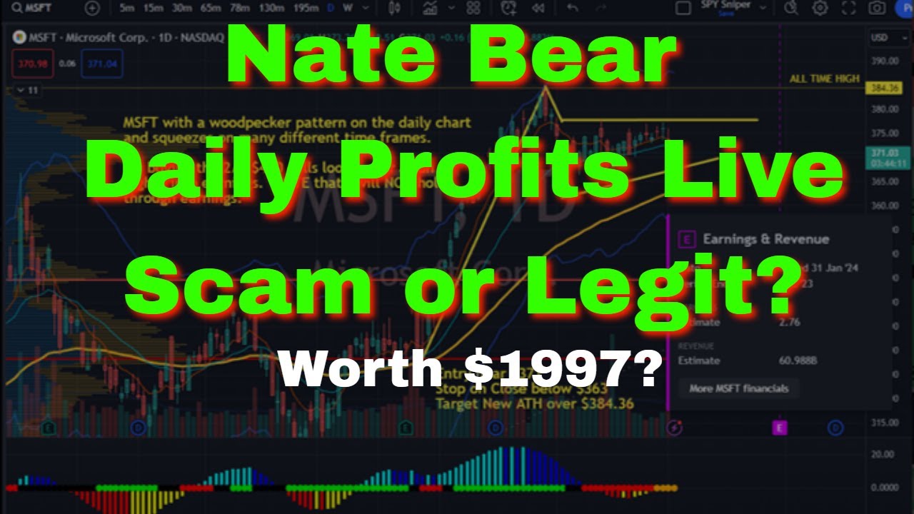 My First Experience in Nate Bear Daily Profit Live - YouTube