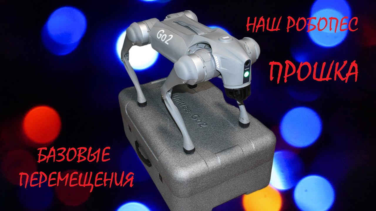 Робопес "Прошка" (Unitree GO 2 PRO) - базовые передвижения - YouTube