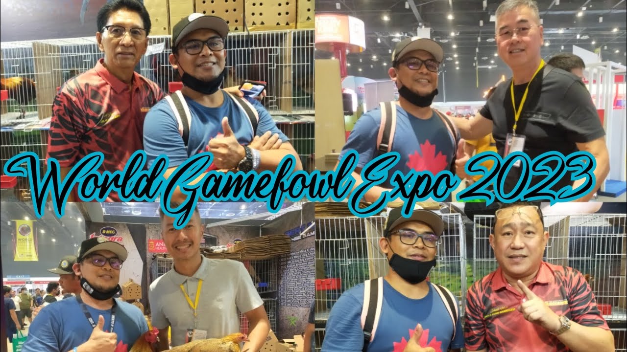 WORLD GAMEFOWL EXPO 2023 • DAY 1 | BIGNAMES IN GAMEFOWL INDUSTRY ...