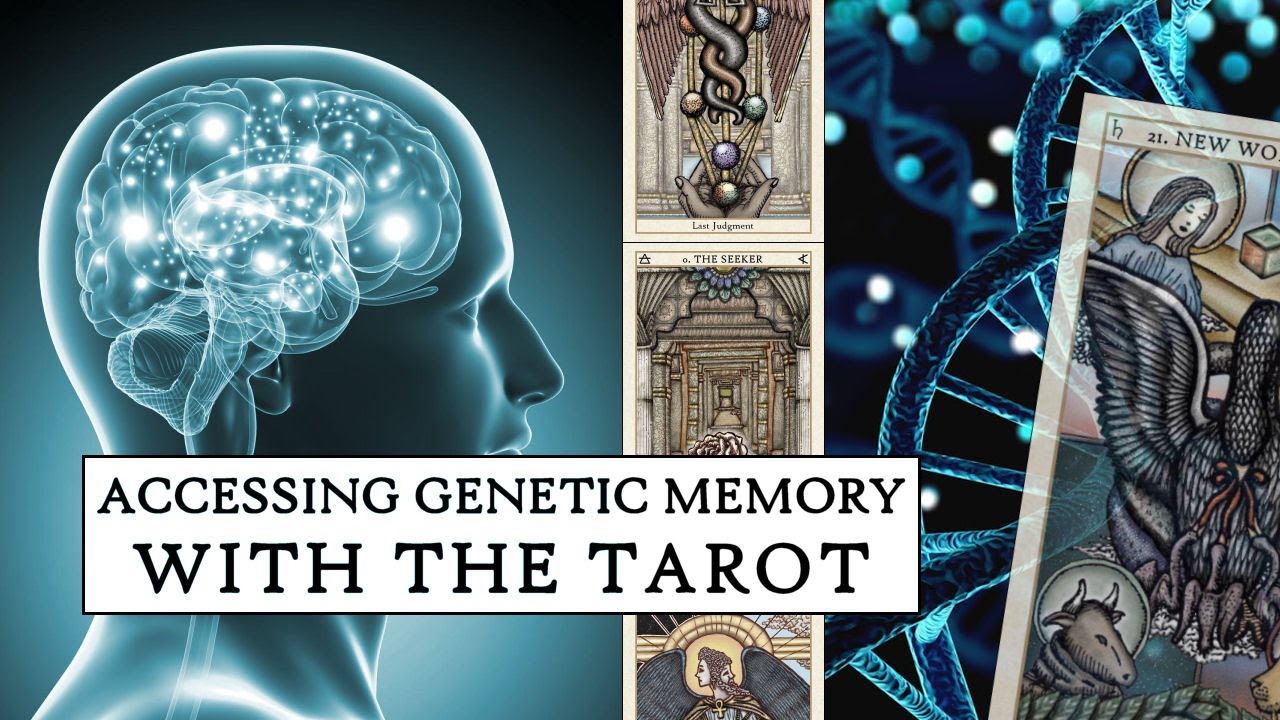 Ancestral Memory and Past Life Recall Through the Tarot: Accessing ...