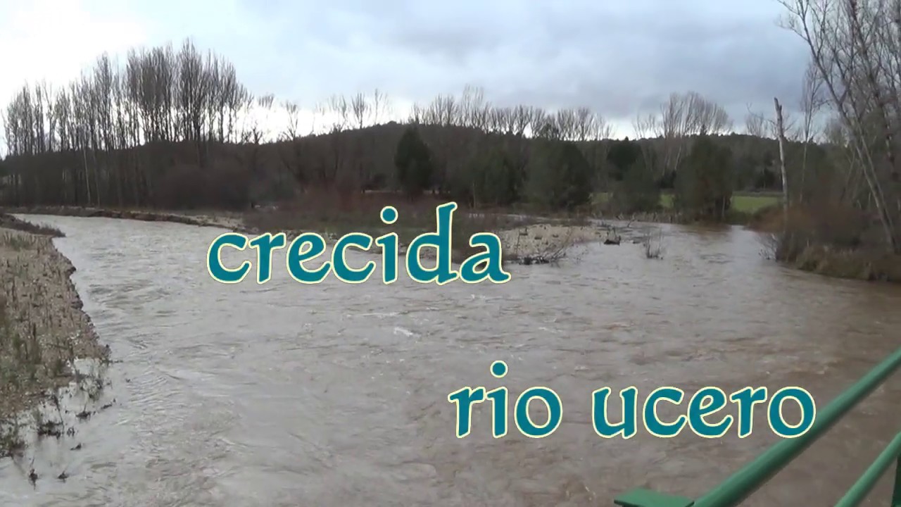 crecida 21 diciembre 2019 - YouTube