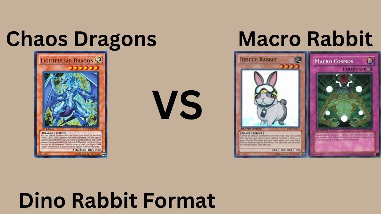 Chaos Dragon VS Macro Rabbit Dino Rabbit Format - YouTube