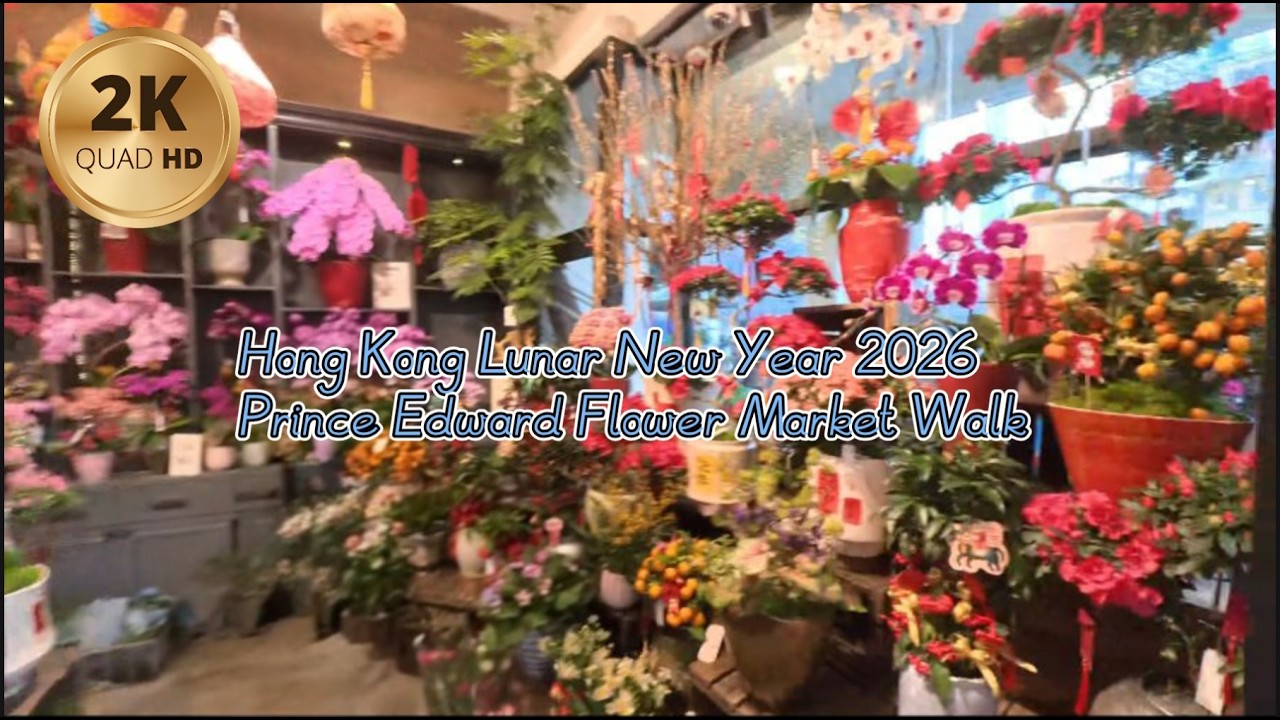 [ HKG Walking tour ] Hong Kong Lunar New Year 2026｜Prince Edward Flower ...