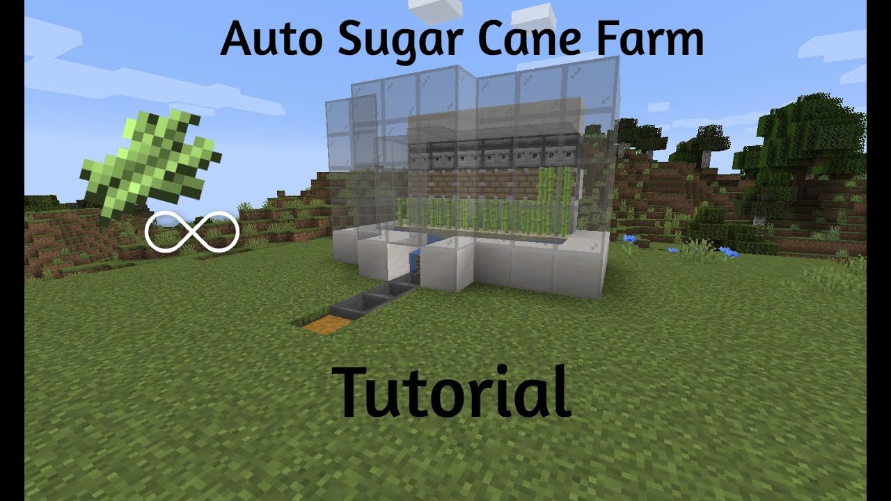 Minecraft Auto Sugar Cane Farm Tutorial - YouTube