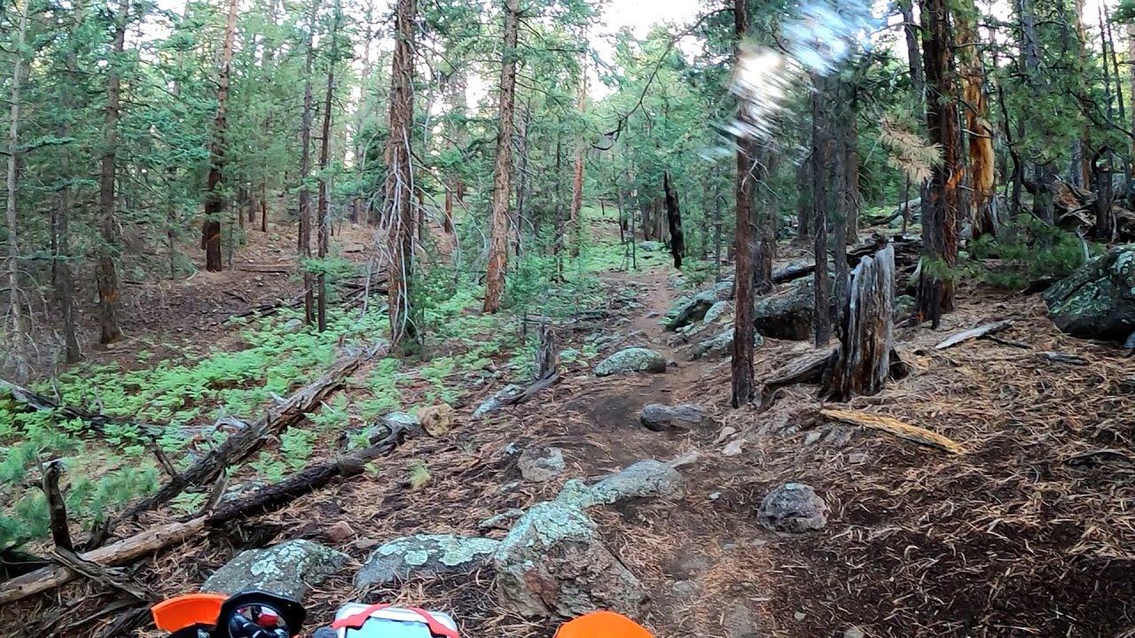 Flagstaff trails,... at night 7-17-2020 - YouTube