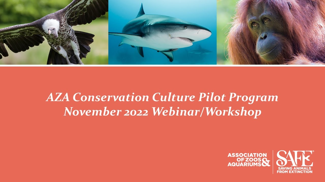 AZA Conservation Culture Pilot Program - October 13, 2022 - YouTube