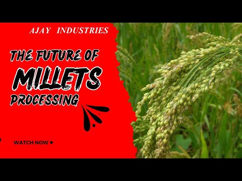 The future of millet processing ! Millet Processing Machinery , M ...
