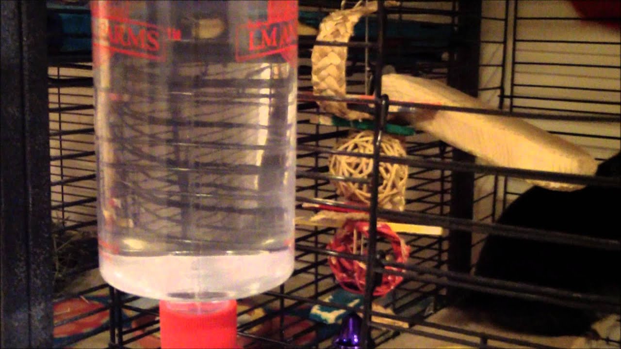 *-Jasmine's Cage Tour-* - YouTube